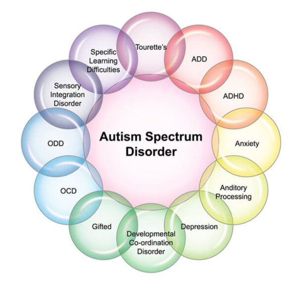 A Brief Introduction to Autism Spectrum Disorder - FJMC International